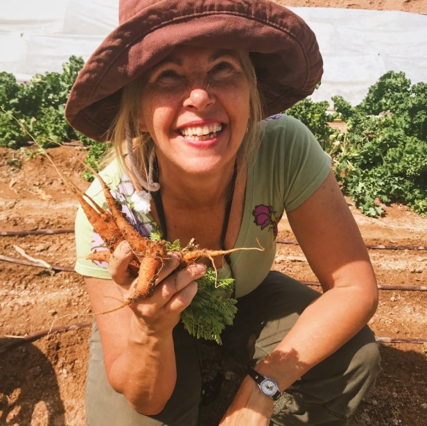 Teardrop Adventures – Life itself is the adventure! #nature #hiking # ...