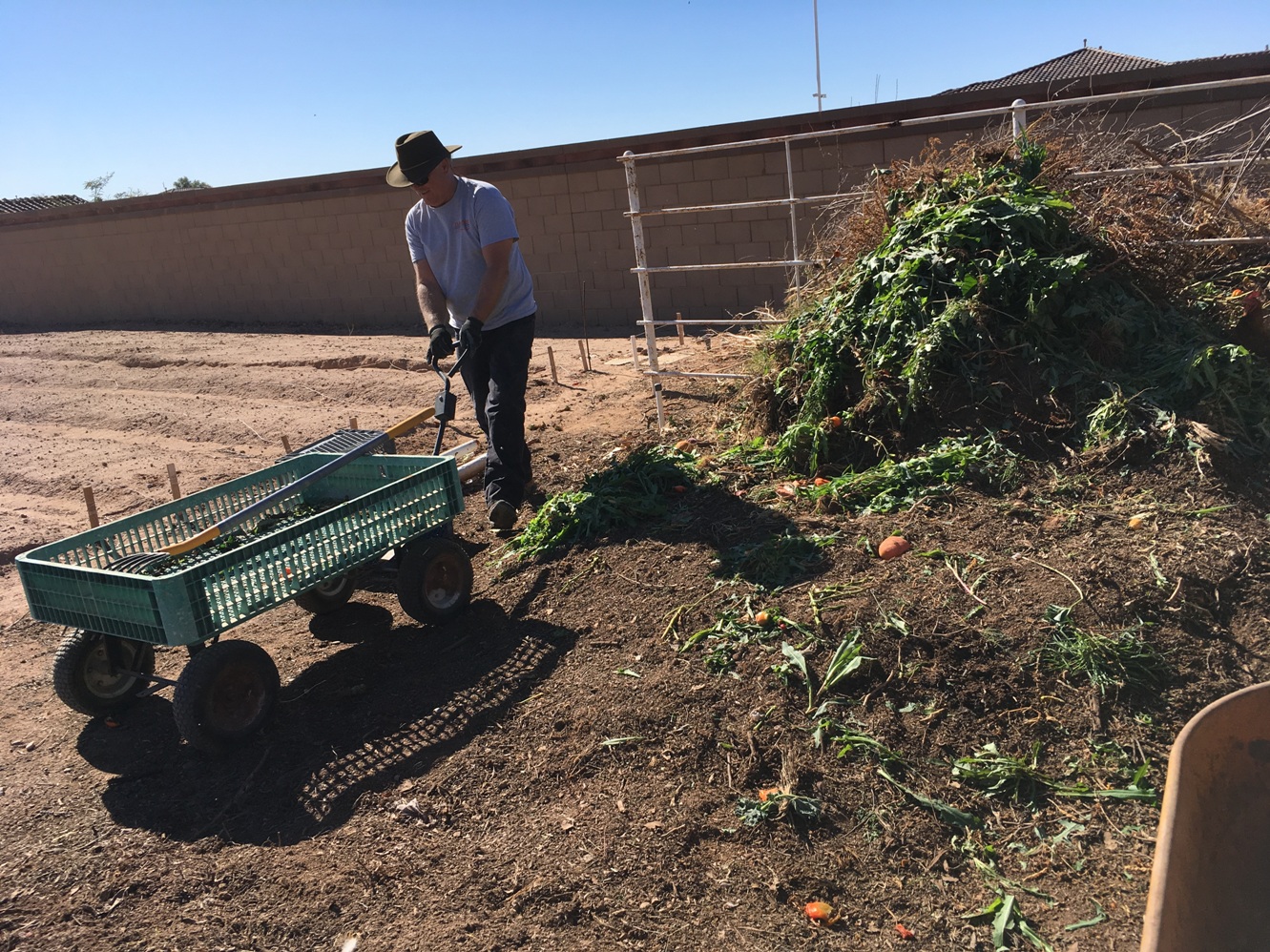 Getting Down n’ Dirty on an Urban Organic Farm – Teardrop Adventures